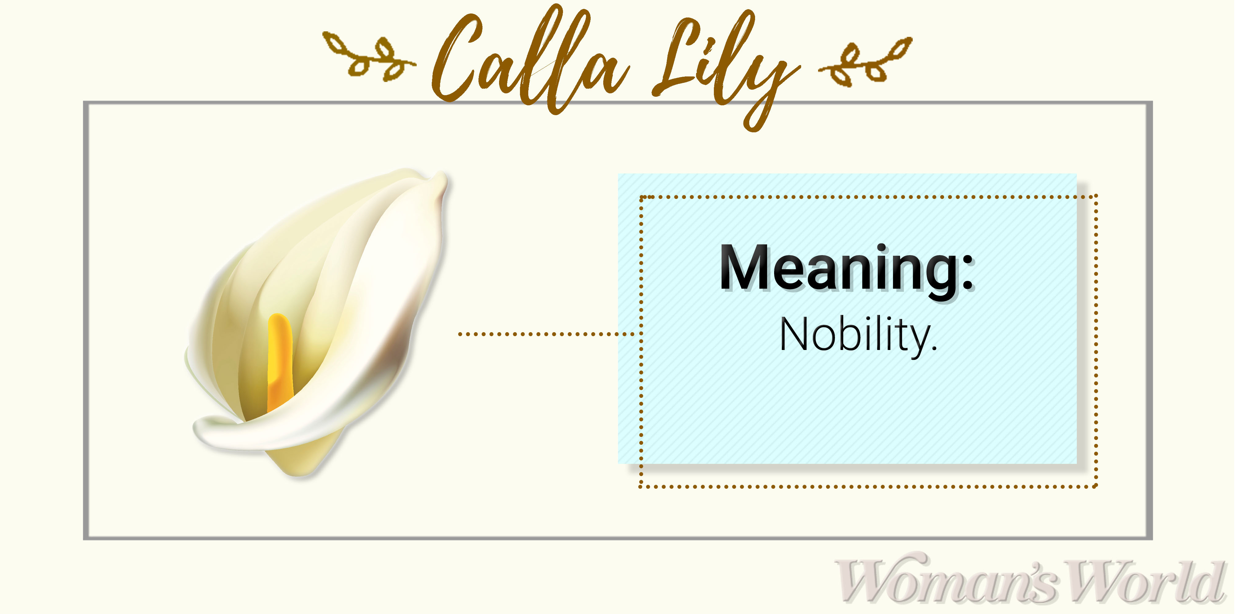 Flower Meanings: Make Your Bouquet Say Something Truly Special