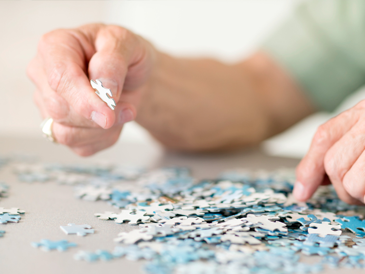 Puzzle Cataloger Job at Strong Museum Sounds Incredible