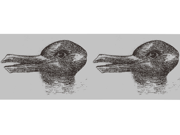 This Strange Duck-Rabbit Optical Illusion Makes Us Do a Double-Take