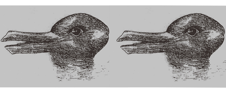 This Strange Duck-Rabbit Optical Illusion Makes Us Do a Double-Take