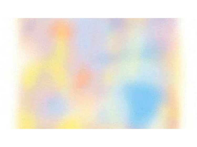New Optical Illusion Literally Disappears Before Our Eyes