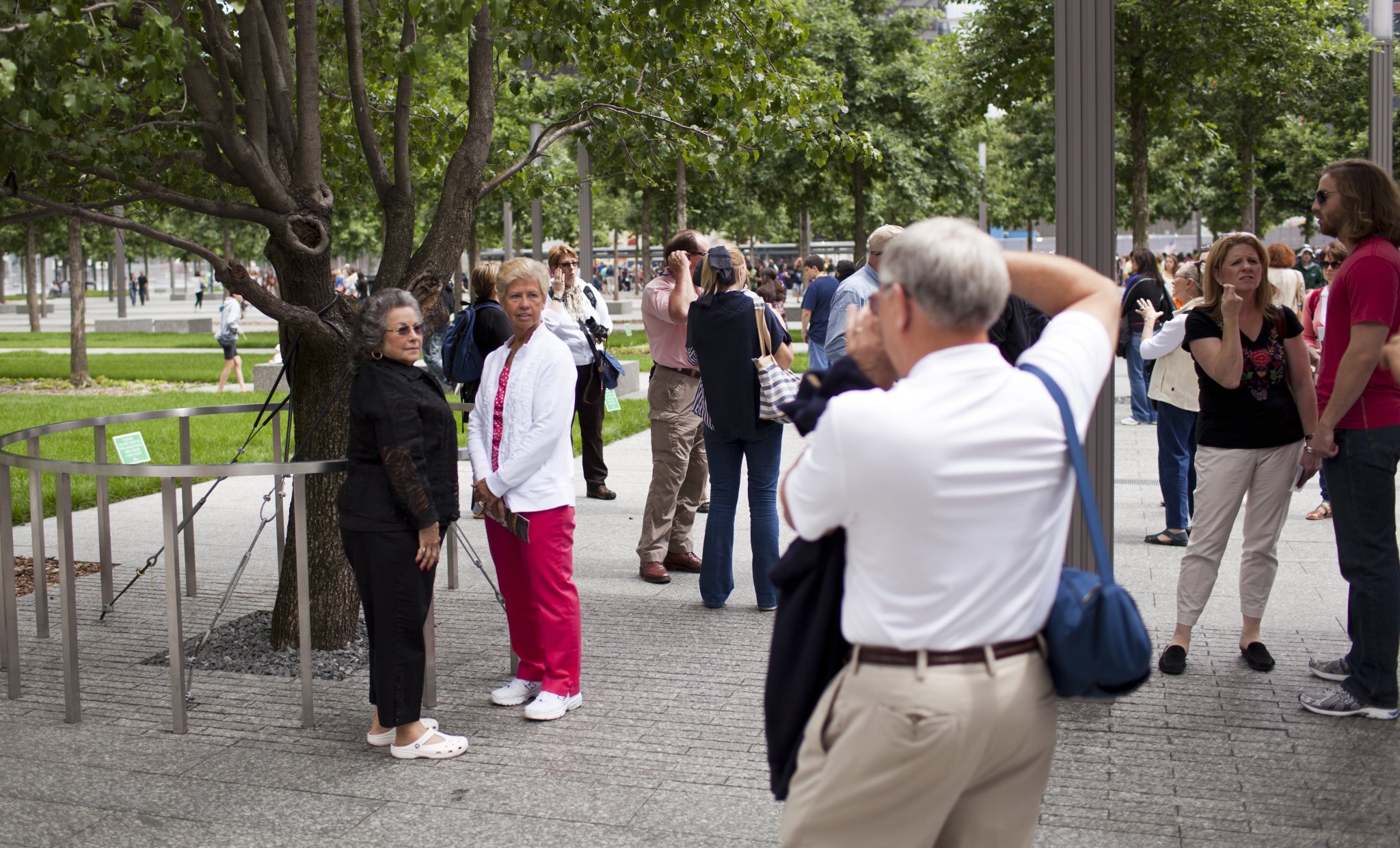 The 9/11 Survivor Tree Is a Reminder of Resilience and Rebirth