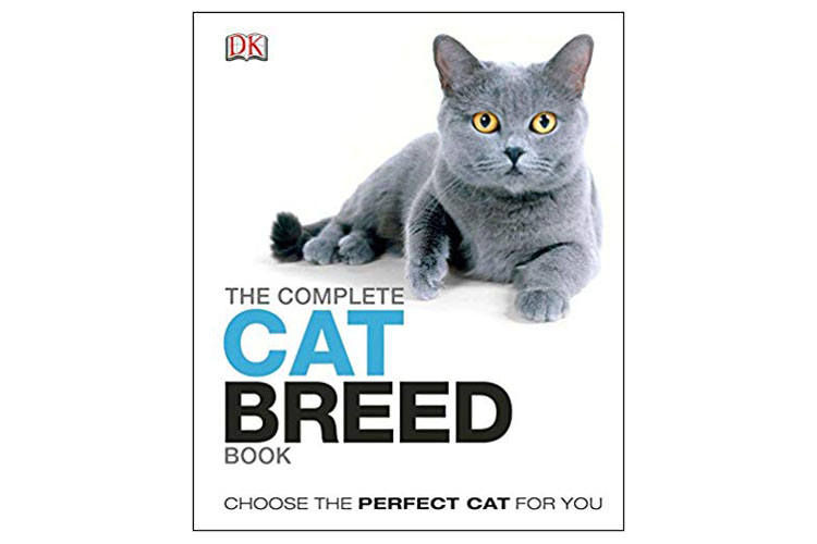9 Cat Books That Every Owner Should Read