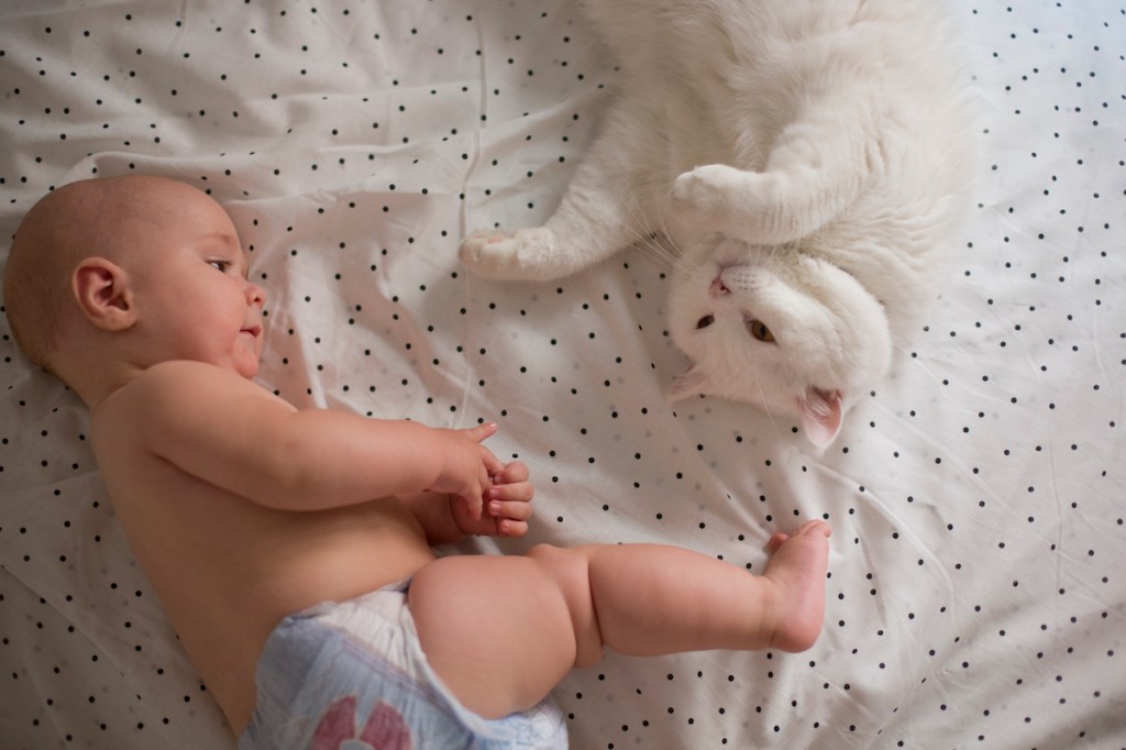 Heart-Melting Photos of Cats With Babies | Woman's World