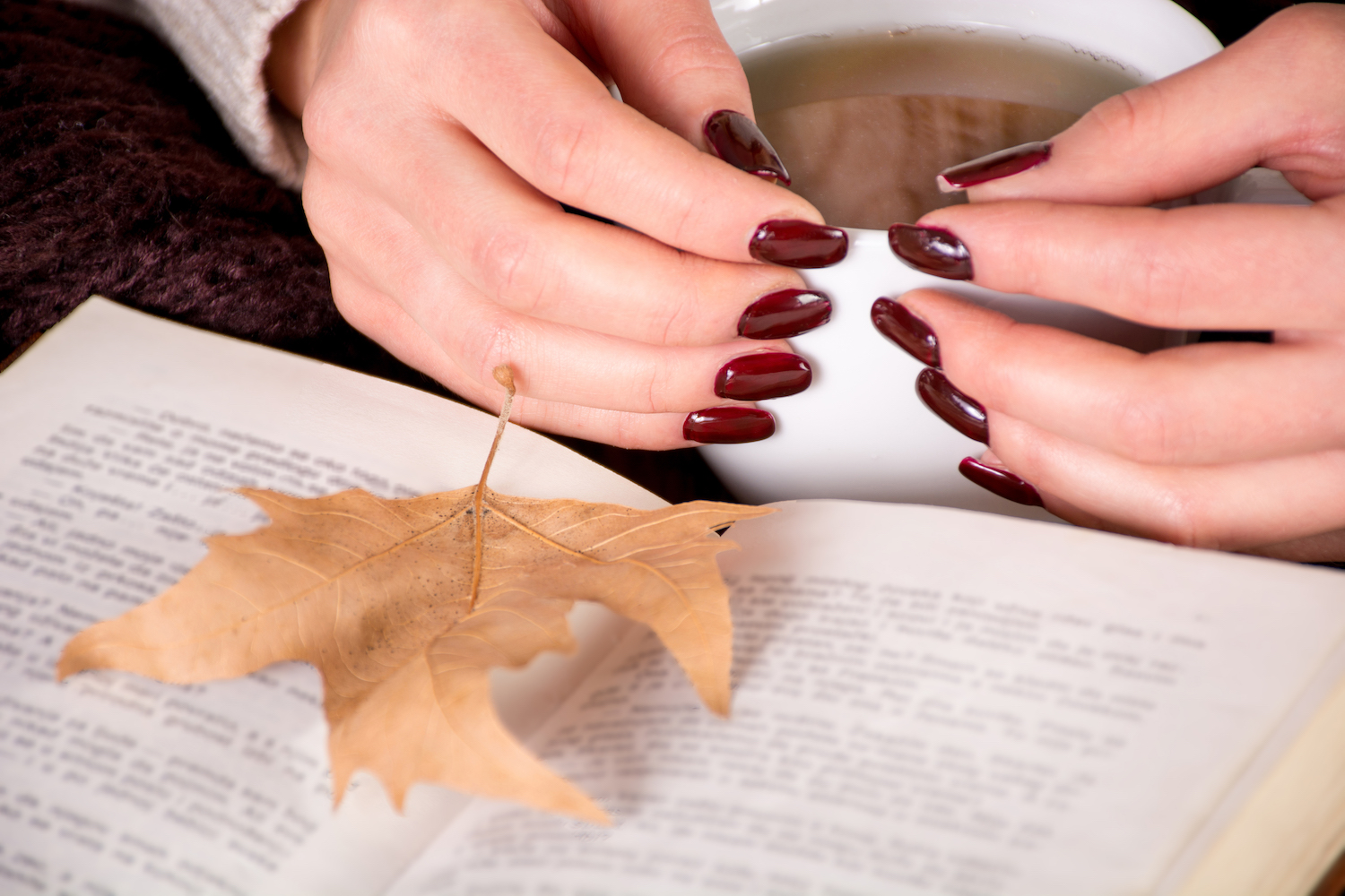 Shop Fall 2019's Best New Nail Polish Collections