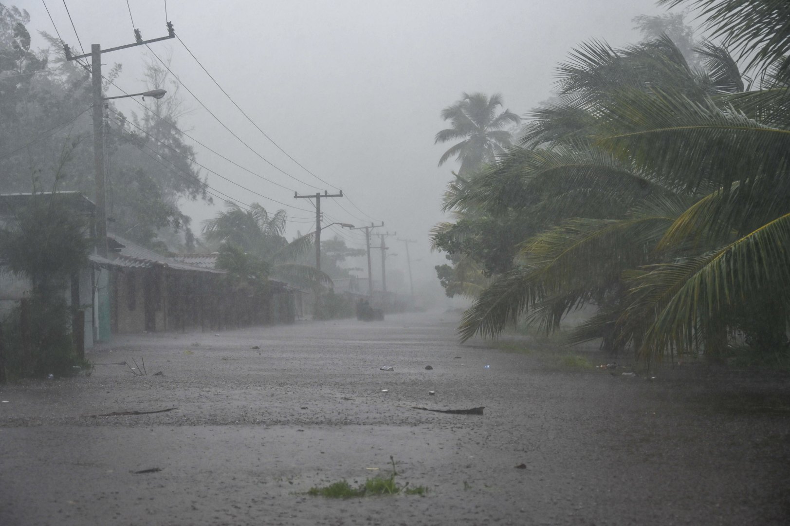 Where ZooTampa Animals Went During Hurricane Milton: Watch the Video ...