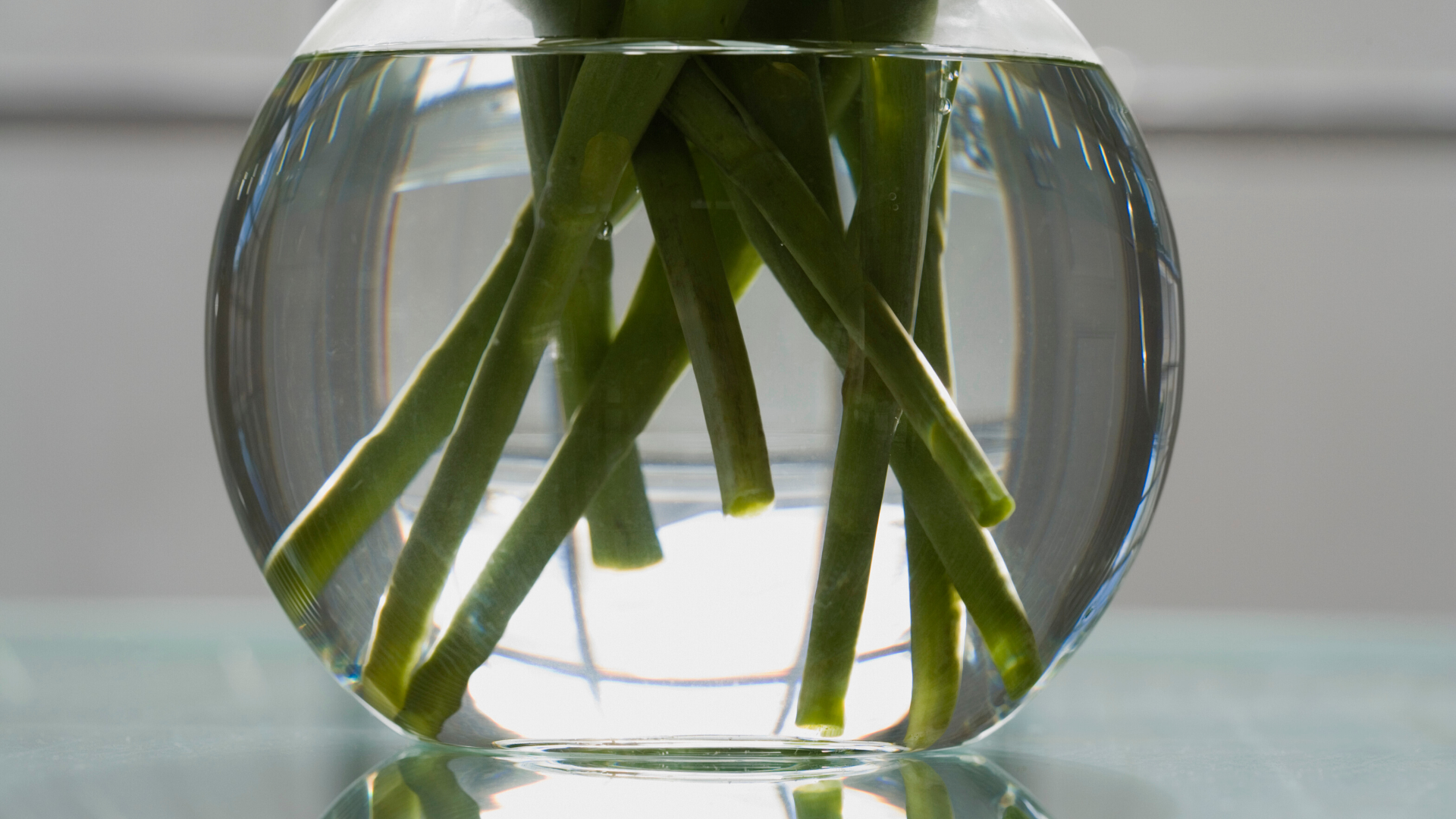 5 Tips to Keep Flower Bouquets Alive and Looking Fresher Longer