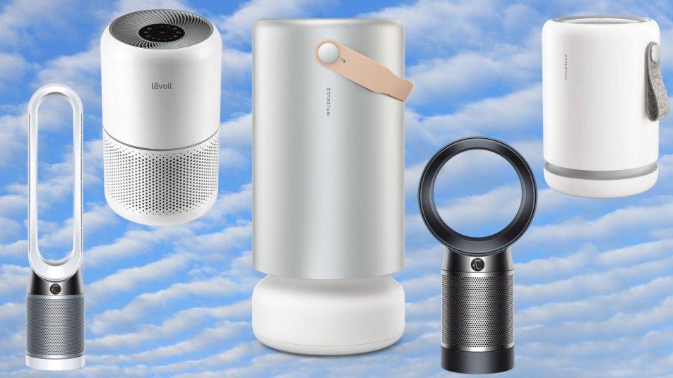9 Best Air Purifiers You Can Buy in 2021 | Woman's World