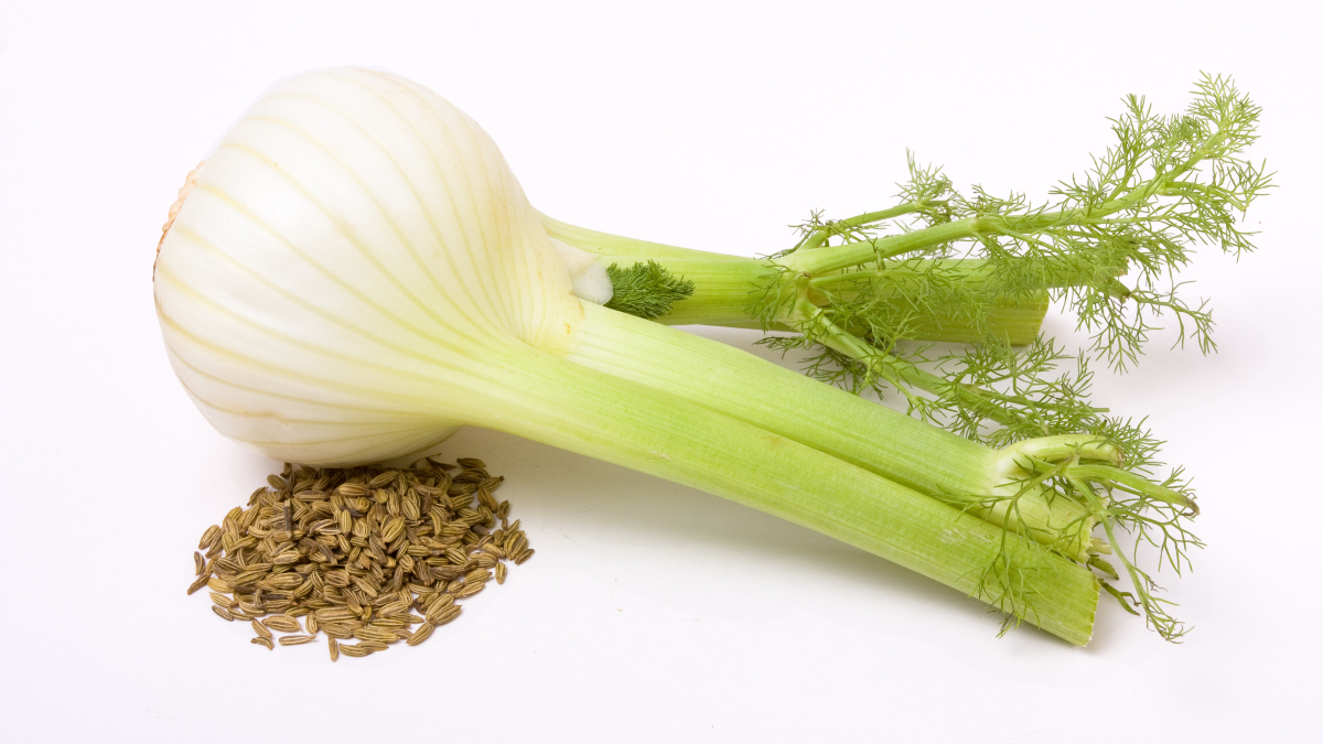 What Is Fennel Tea Good For? How It Boosts Health | Woman's World