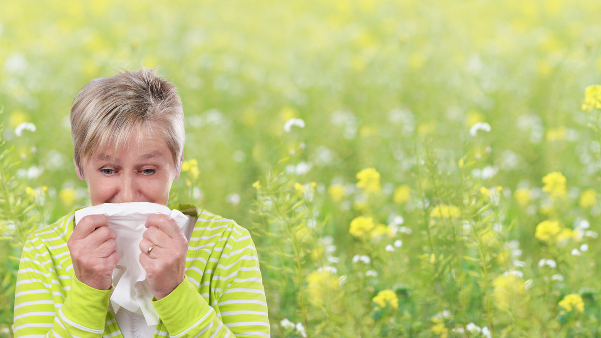 Say Goodbye To Hay Fever and Seasonal Allergies with 4 Natural, Science ...
