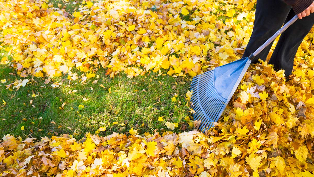5 Tricks for Completing Fall Yard Work Fast | Woman's World