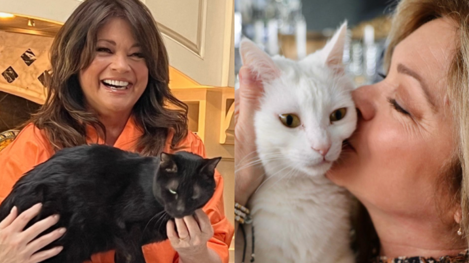 Valerie Bertinelli Loves Her Cats, and So Do We | Woman's World