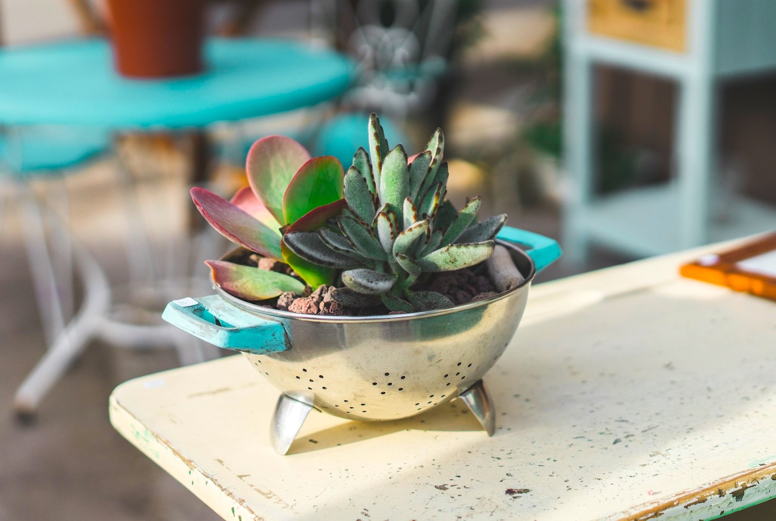 DIY planters: Turn Flea-Market Finds into Whimsical Pots | Woman's World