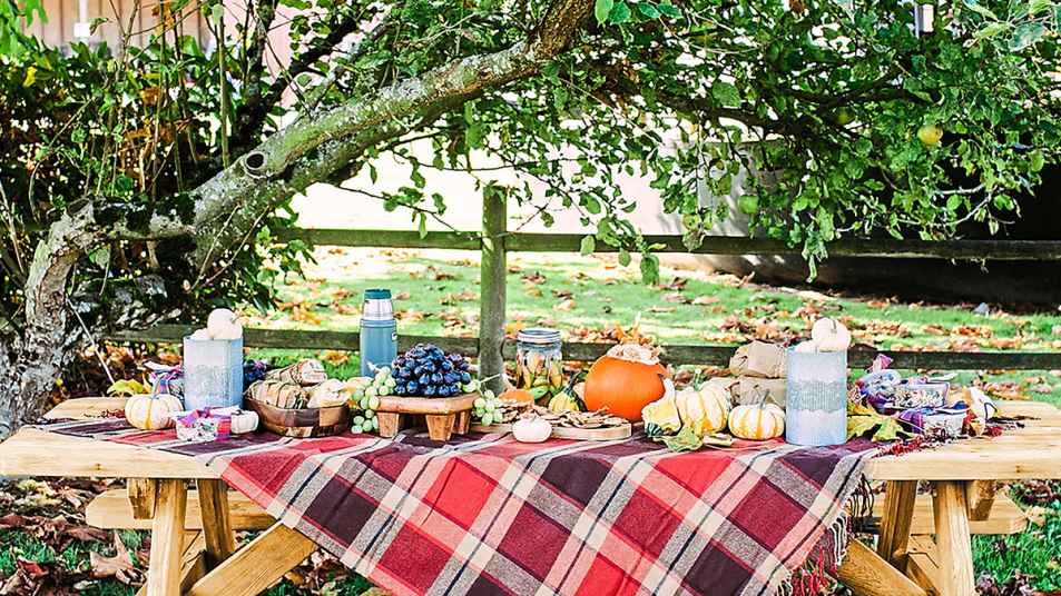 Fall Picnic Ideas: Party Pro Shares Her Easy Tips | Woman's World
