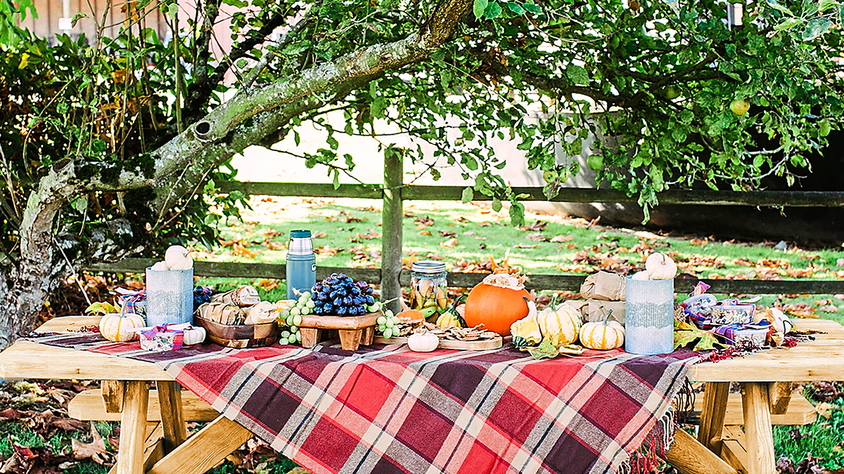 Fall Picnic Ideas: Party Pro Shares Her Easy Tips | Woman's World