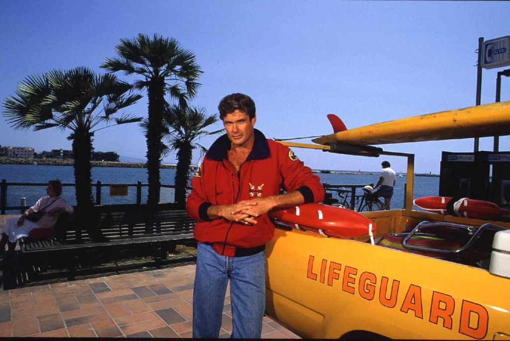 David Hasselhoff Movies and TV Shows | Woman's World