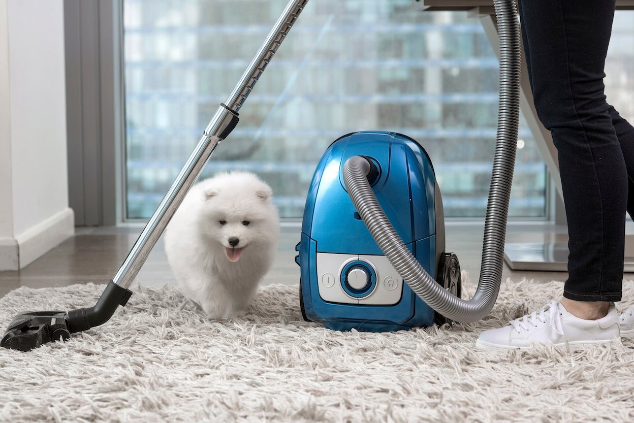 How to Clean a Shag Rug According to Experts | Woman's World