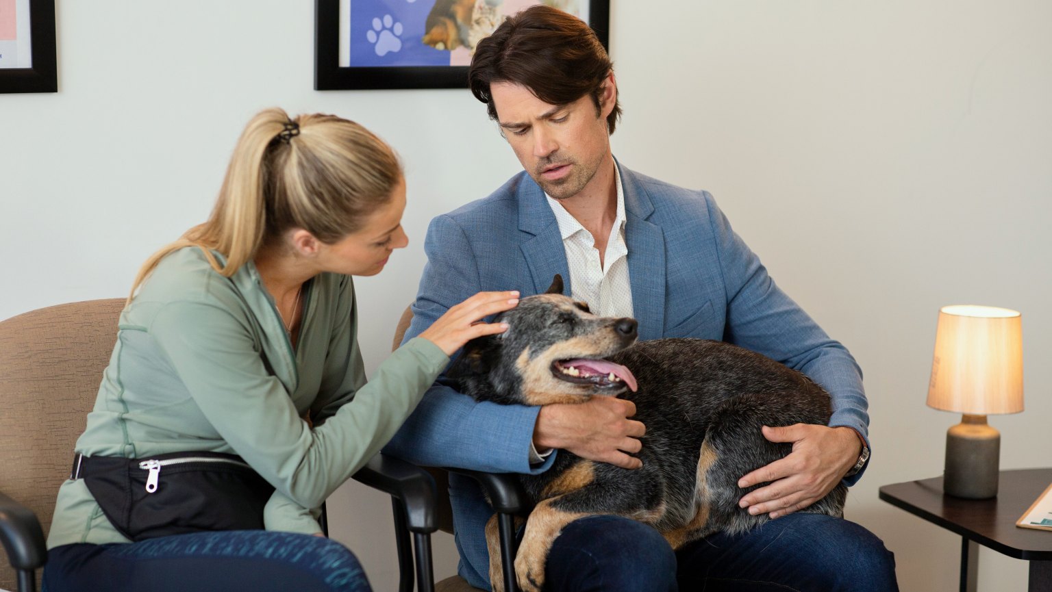 Corey Sevier: 9 of His Best Hallmark Shows, Ranked| Woman's World