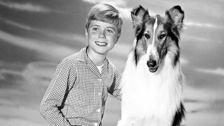 'Lassie' Cast: What Happened To The Stars After The Hit Series | Woman ...