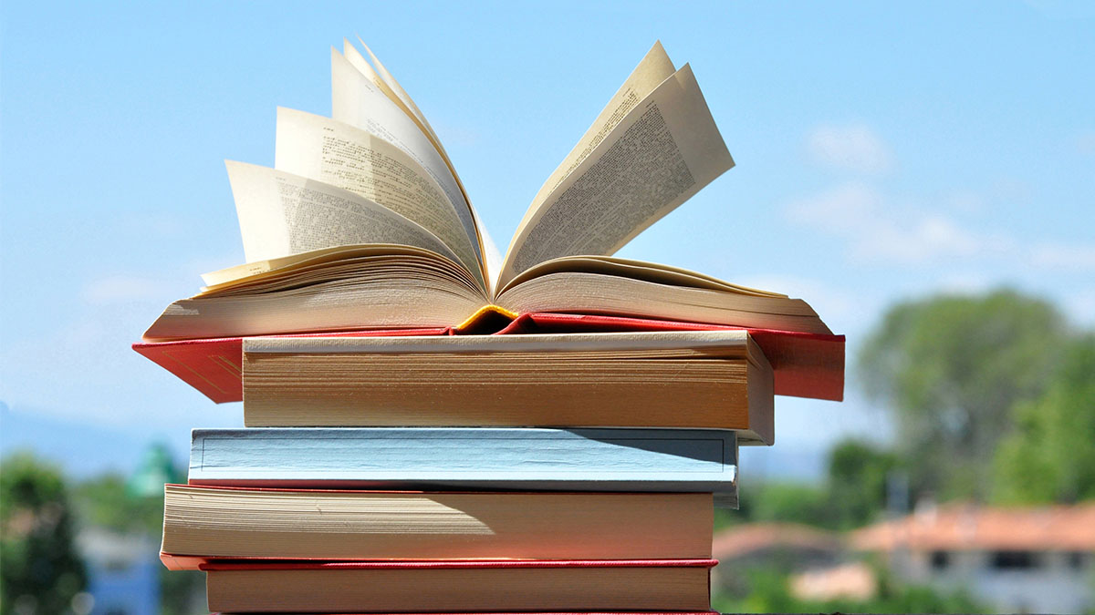 New Book Releases: 10 of Our Most Anticipated 2024 Reads| Woman's World
