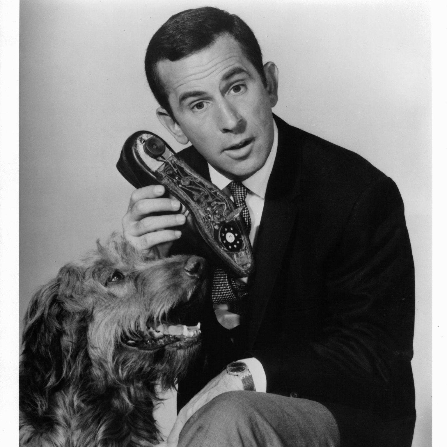 Original Get Smart Cast, Then and Now | Woman's World