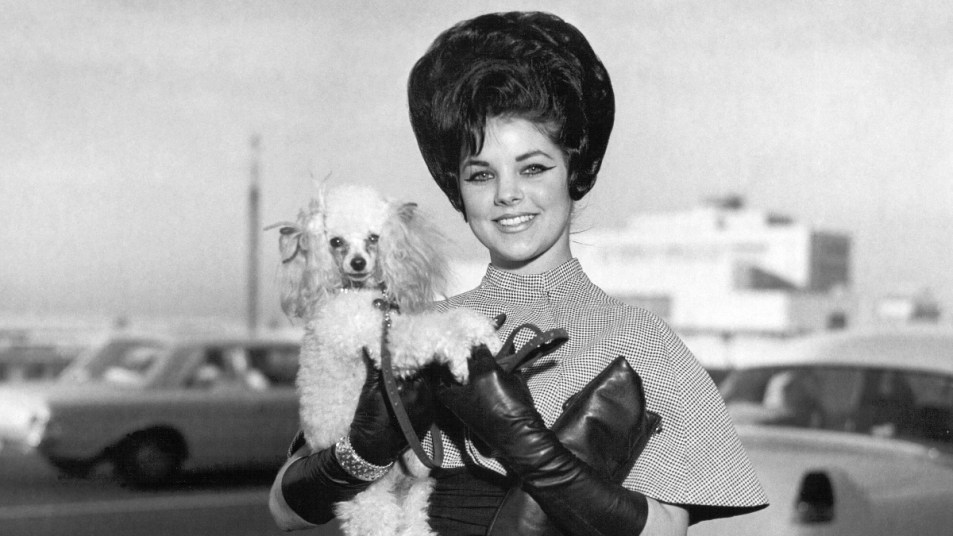 Priscilla Presley Young: 10 Rare Photos of Elvis' Bride | Woman's World