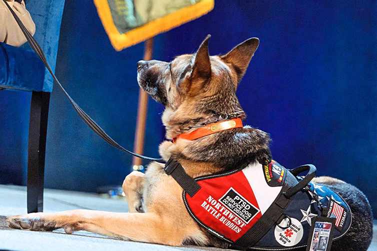 Woman Has Helped Place 225 Service Dogs With Veterans | Woman's World