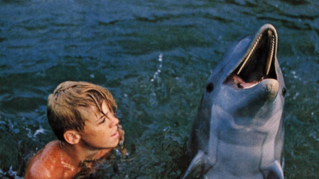 'Flipper' TV Show: 7 Facts About the 1964 Dolphin Sensation | Woman's World