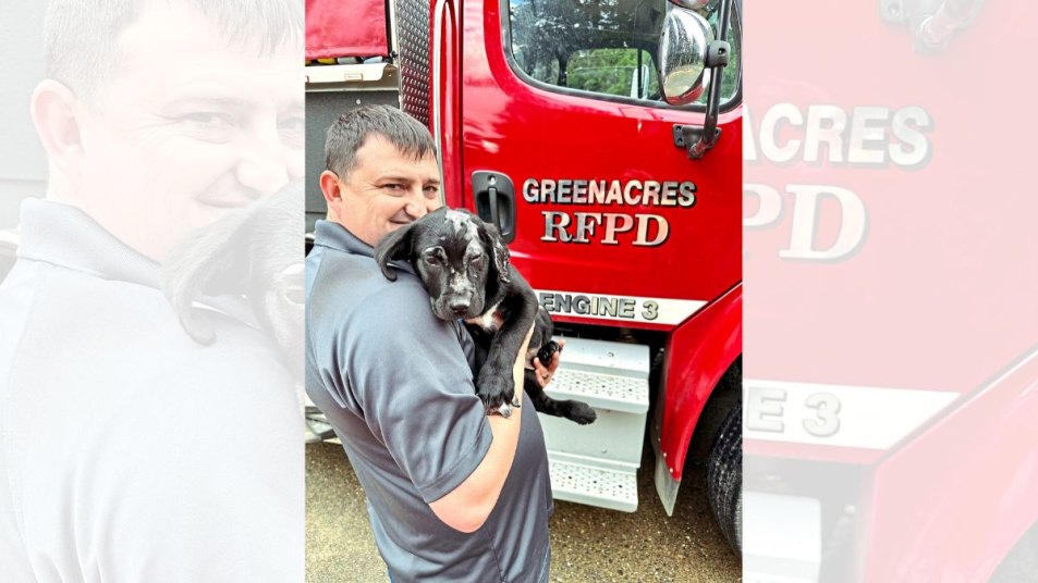Fire-Survivor Pup Finds Forever Home With a Fire Chief | Woman's World