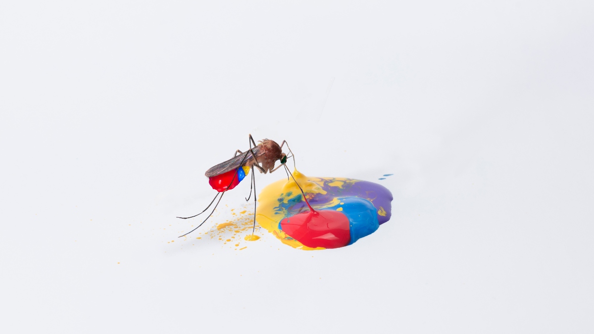 How to Keep Bugs Off Wet Paint: Low-Cost Tricks from Paint Pro | Woman ...