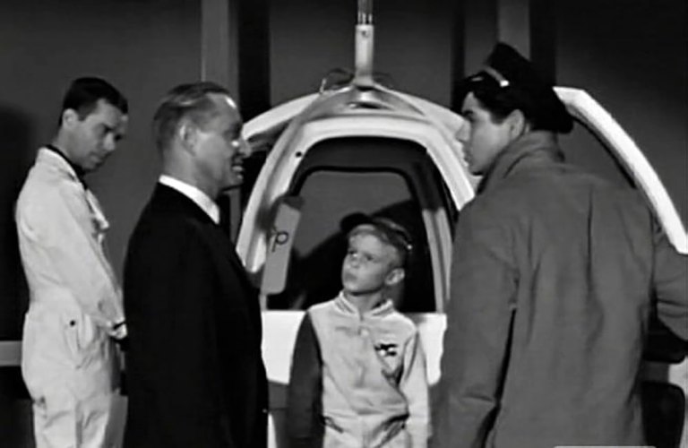 Jay North: 11 Facts About the Late 'Dennis the Menace' Star | Woman's World