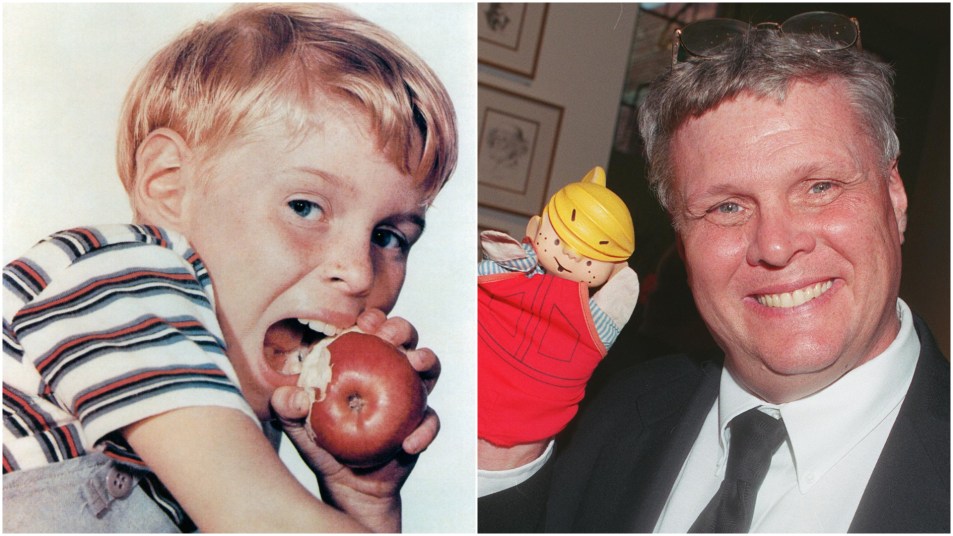 Jay North: 11 Unbelievable Facts About the 'Dennis the Menace' Star ...