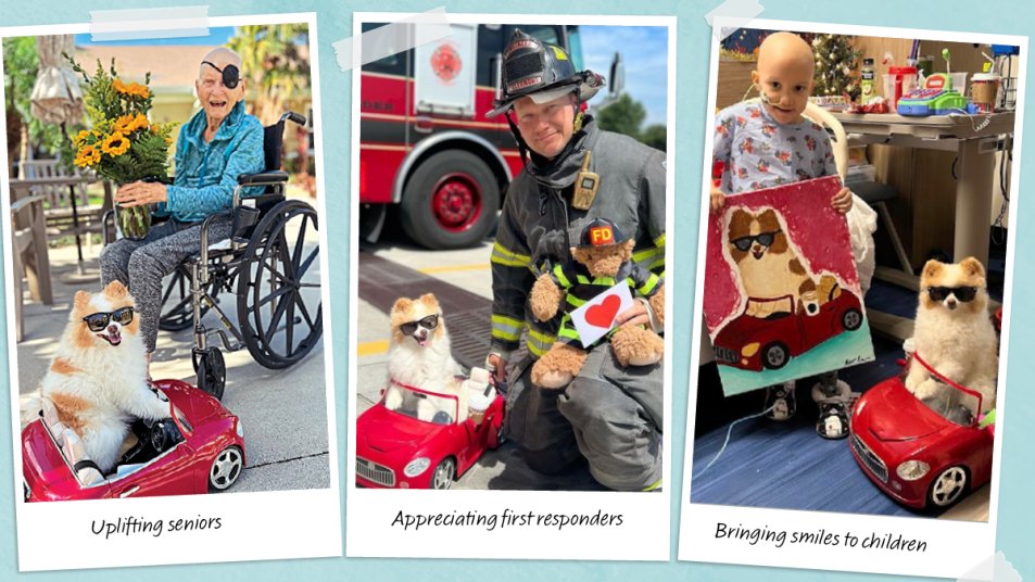 Koda the Fluff Spreads Joy to Millions | Woman's World