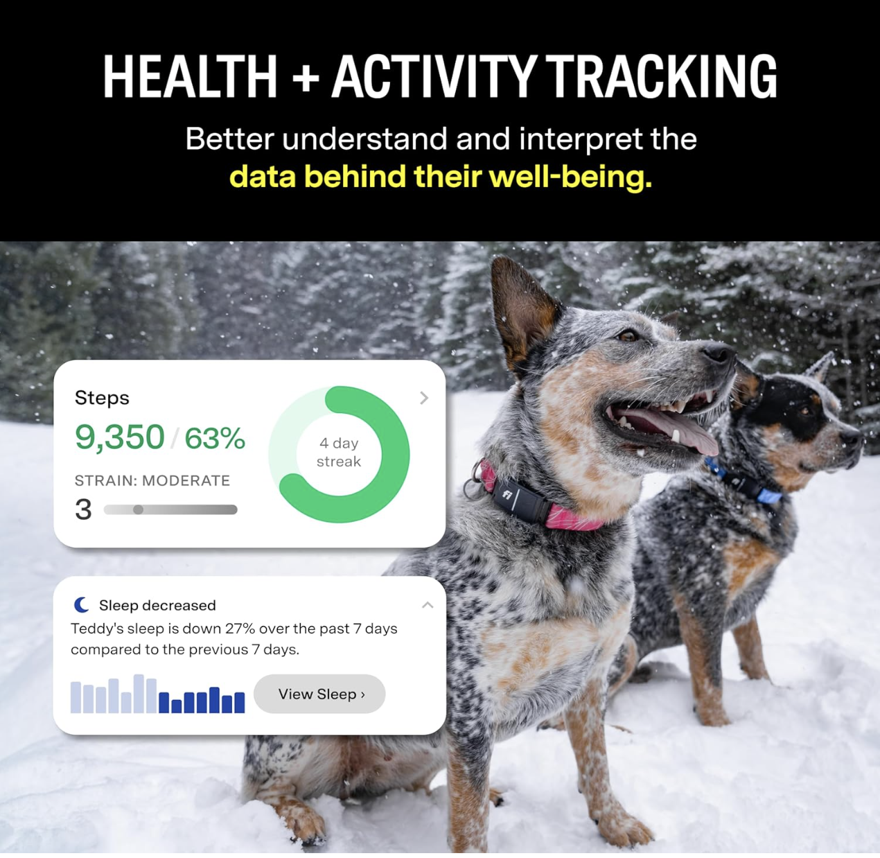 Dogs Sleep Tracking Devices: Measure Their Quality Sleep | Woman's World