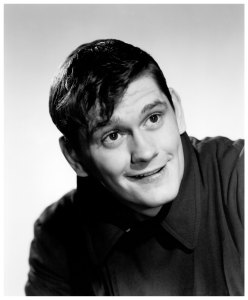 11 Facts About Dick York From Bewitched Womans World