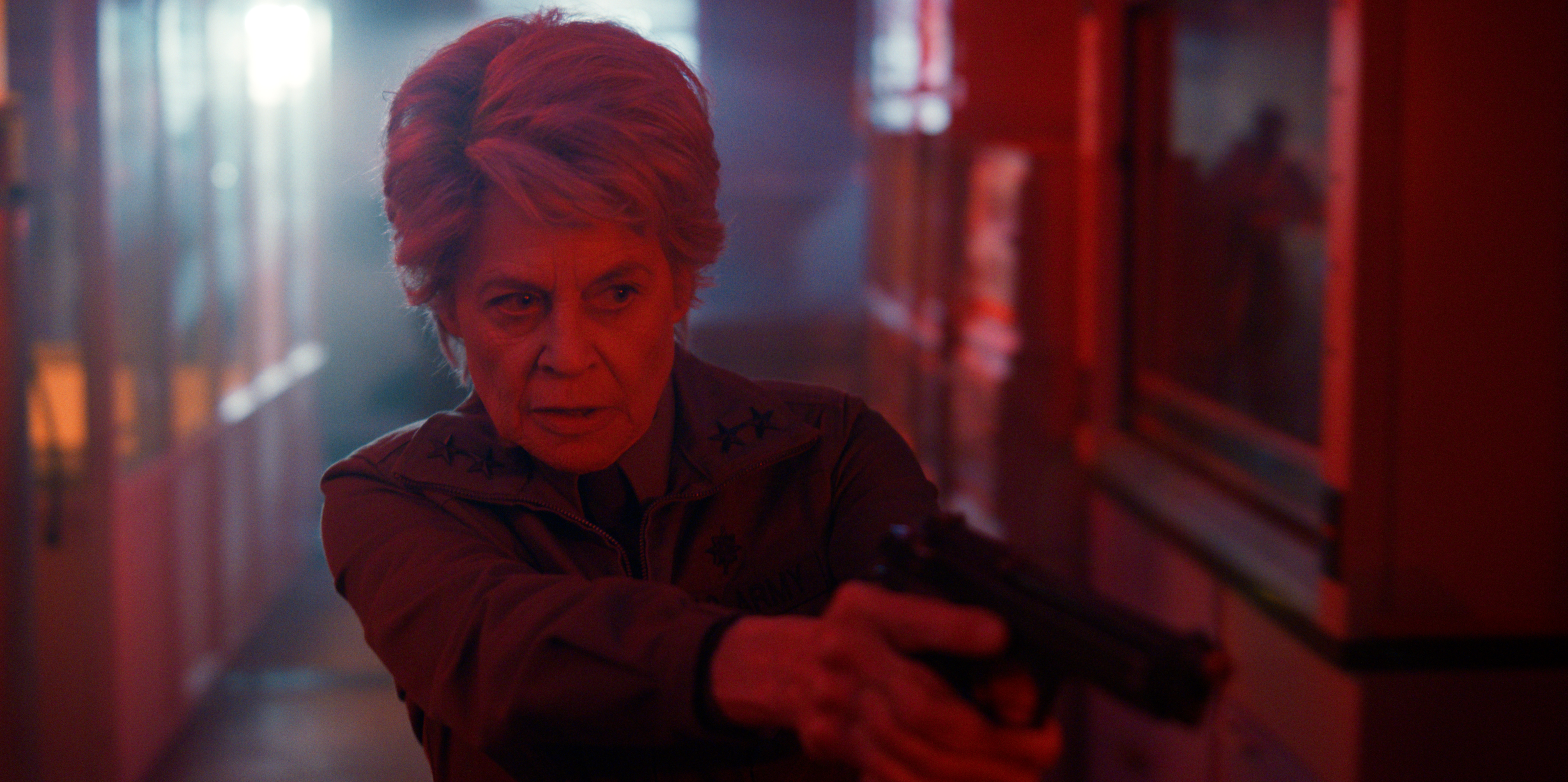 Linda Hamilton’s Career After ‘The Terminator’: Movies, TV and More ...