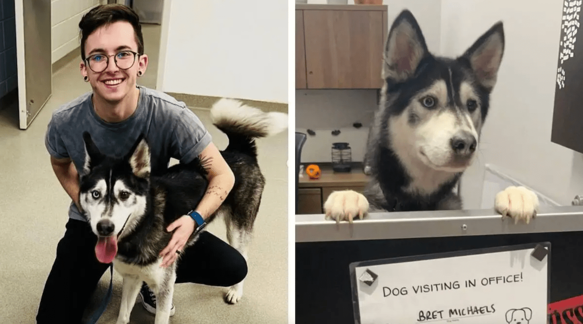 Rockstar Bret Michaels Adopts Shelter Dog Named After Him | Woman's World