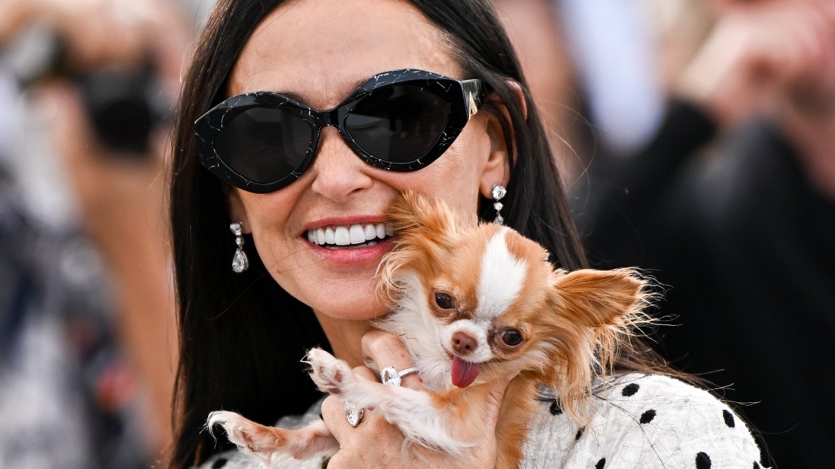 Celebrity Pets Photos