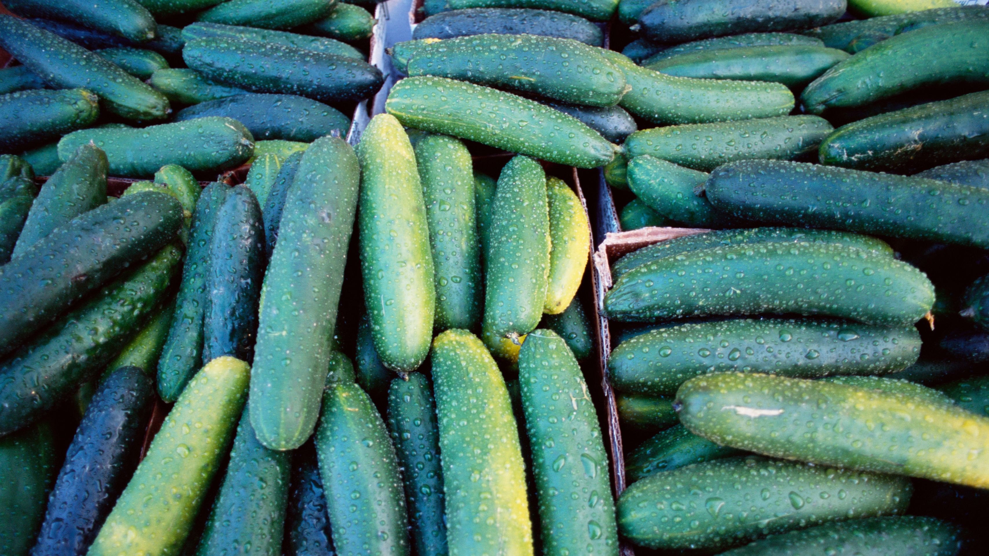 Cucumber Recall 2024: Salmonella Sickens 68 in 26 States | Woman's World