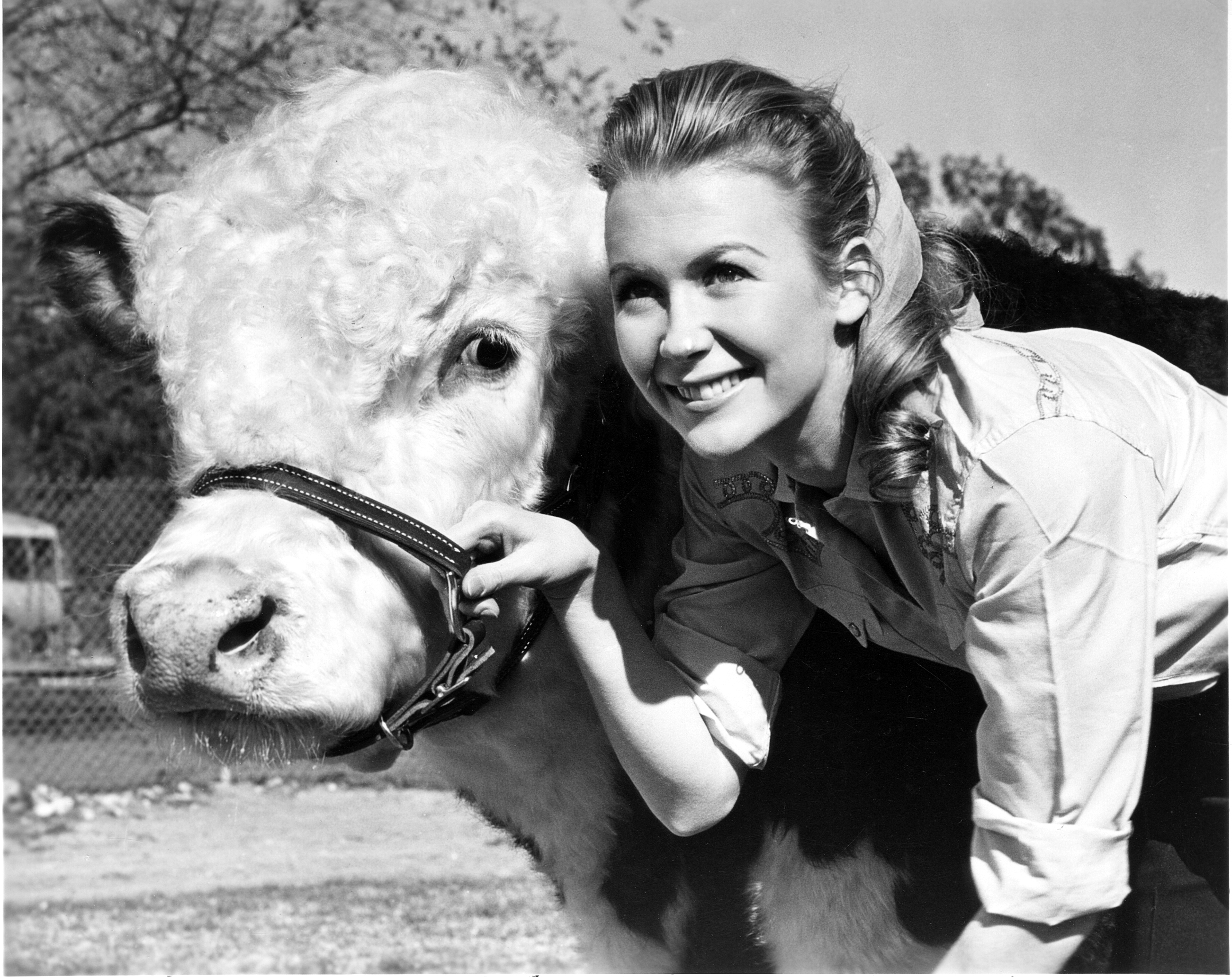 Juliet Mills & Maxwell Caulfield: 19 Years His Senior, 45 Years of Love ...