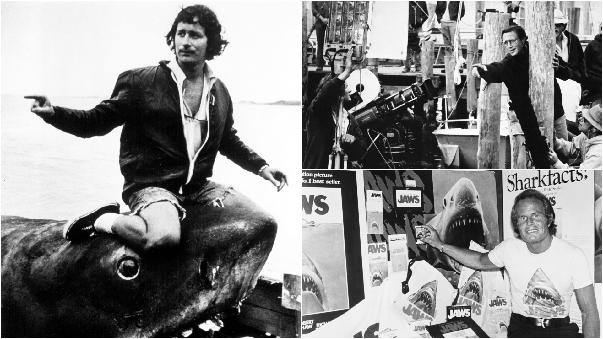 ‘Jaws’ Turns 50: 4 Surprising Life Lessons From the Film | Woman's World