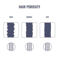 Low Porosity Hair: What It Is and How to Treat It | Woman's World
