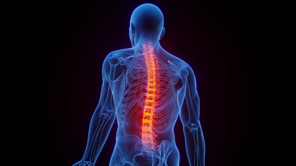 Pulled Muscle in Back: 4 Home Remedies To Ease the Ache | Woman's World