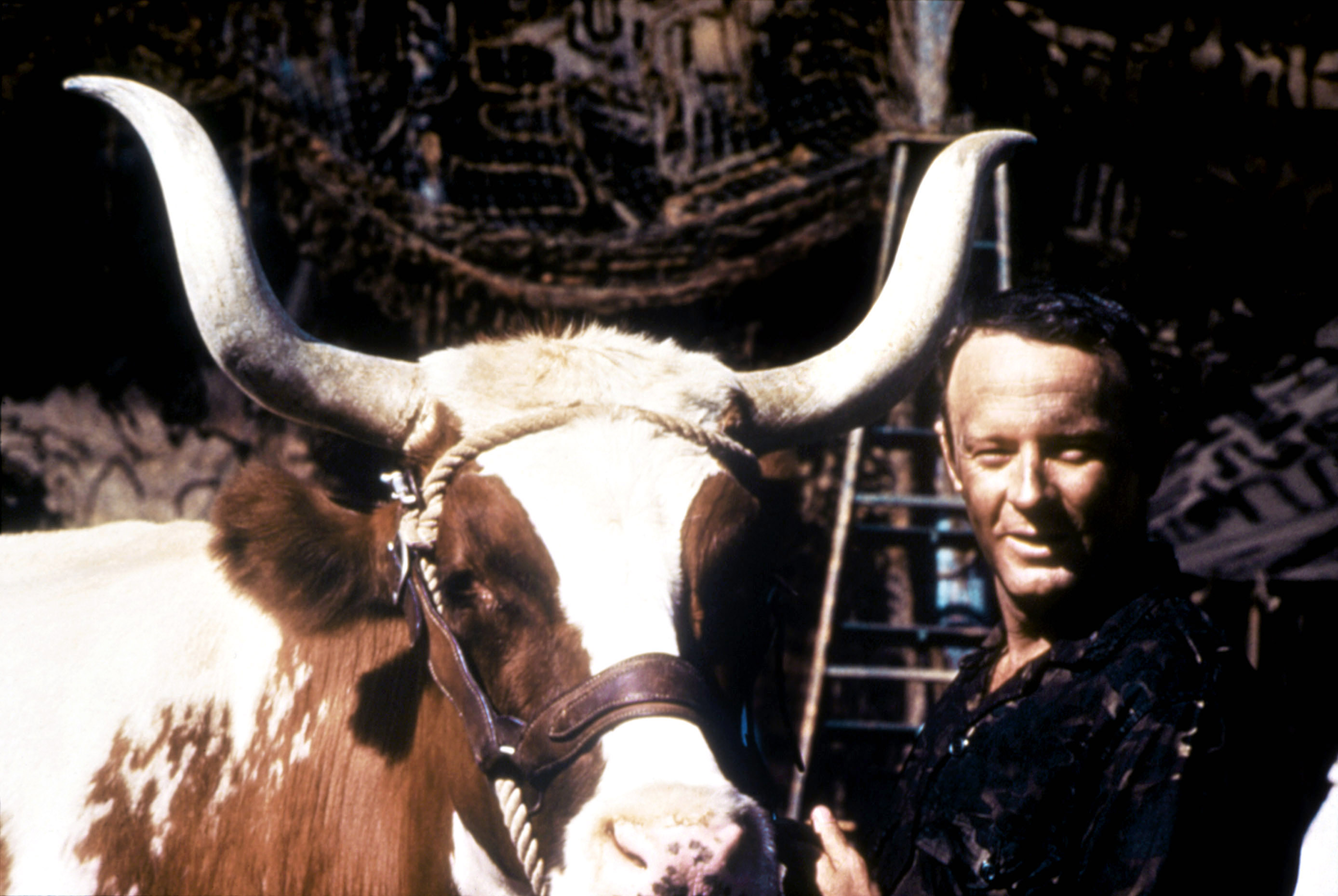 ‘MASH’ Cast Members We’ve Lost: Honoring the 4077th's TV Legends ...