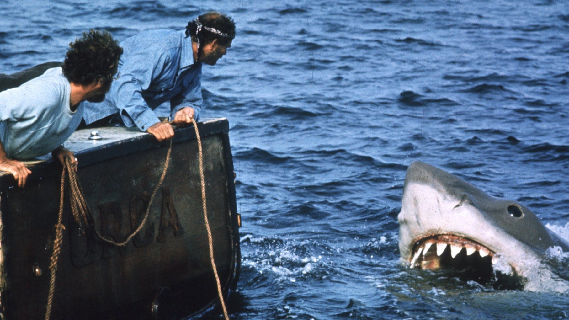 'Jaws' Cast Remembered: Roy Scheider, Robert Shaw & Stars We've Lost ...