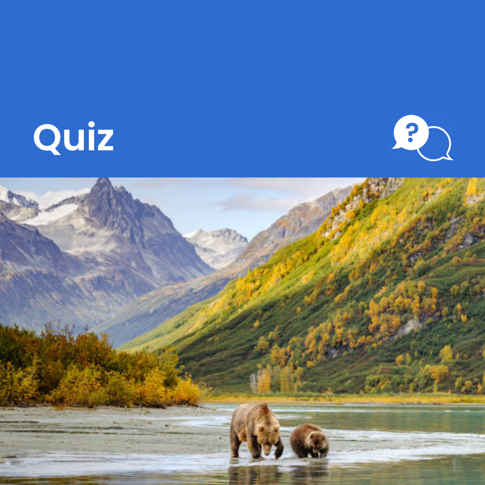 Quizzes Archives | Woman's World