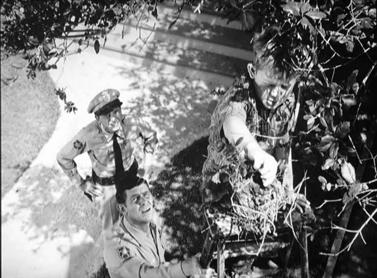 Why 'Opie the Birdman' Is the Heart of 'The Andy Griffith Show' | Woman ...