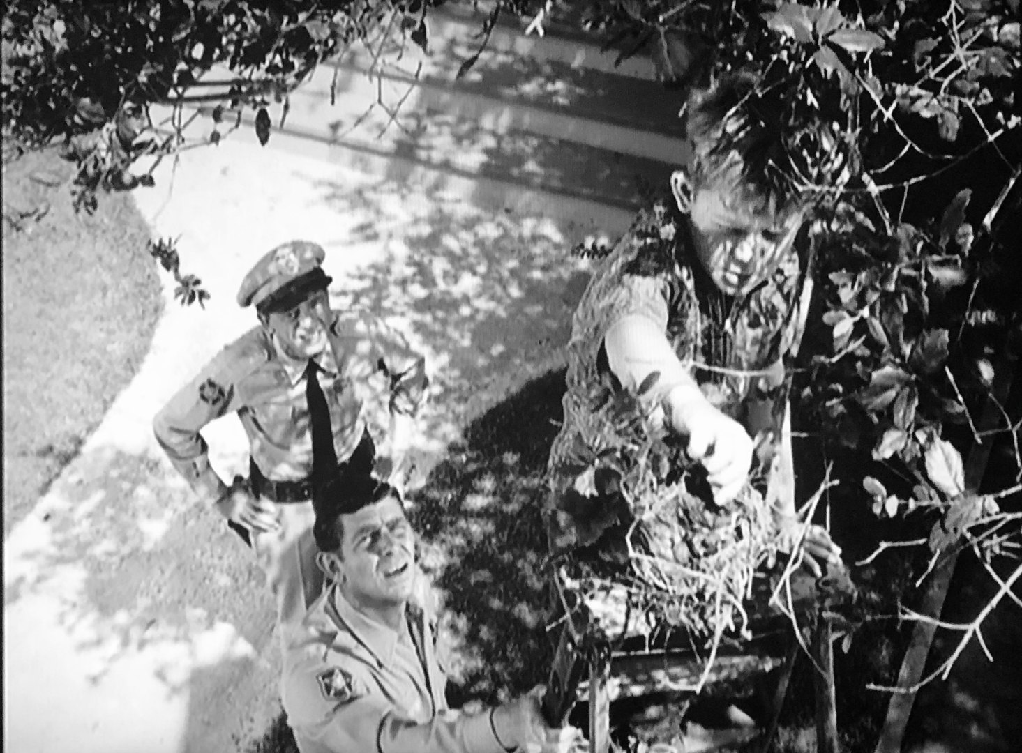 Why 'Opie the Birdman' Is the Heart of 'The Andy Griffith Show' | Woman ...