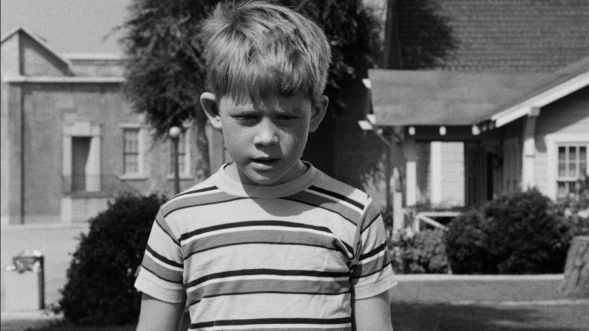 Why 'Opie the Birdman' Is the Heart of 'The Andy Griffith Show' | Woman ...