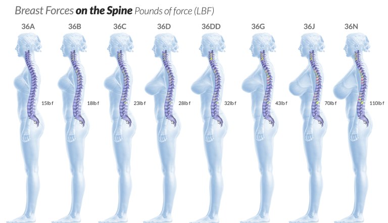 Best Bras for Back Pain That Are Supportive and Comfortable | Woman's World